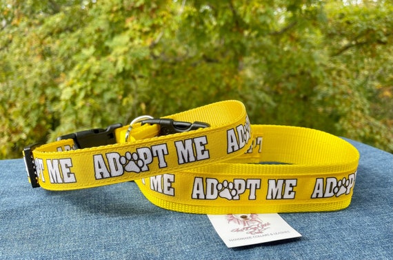 Yellow ADOPT ME Dog Collar 1 1.5 Wide Martingale | Etsy