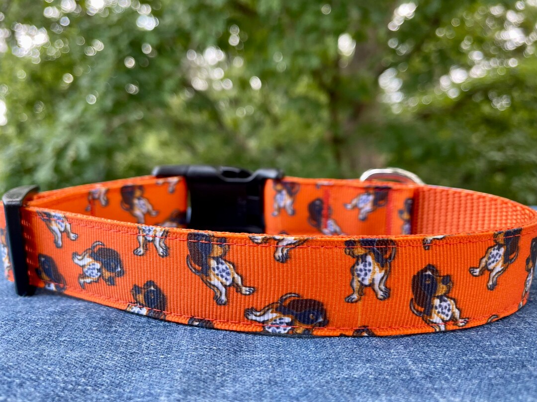 Orange Football Hound Dog Collar 1" Wide - RTS - Etsy