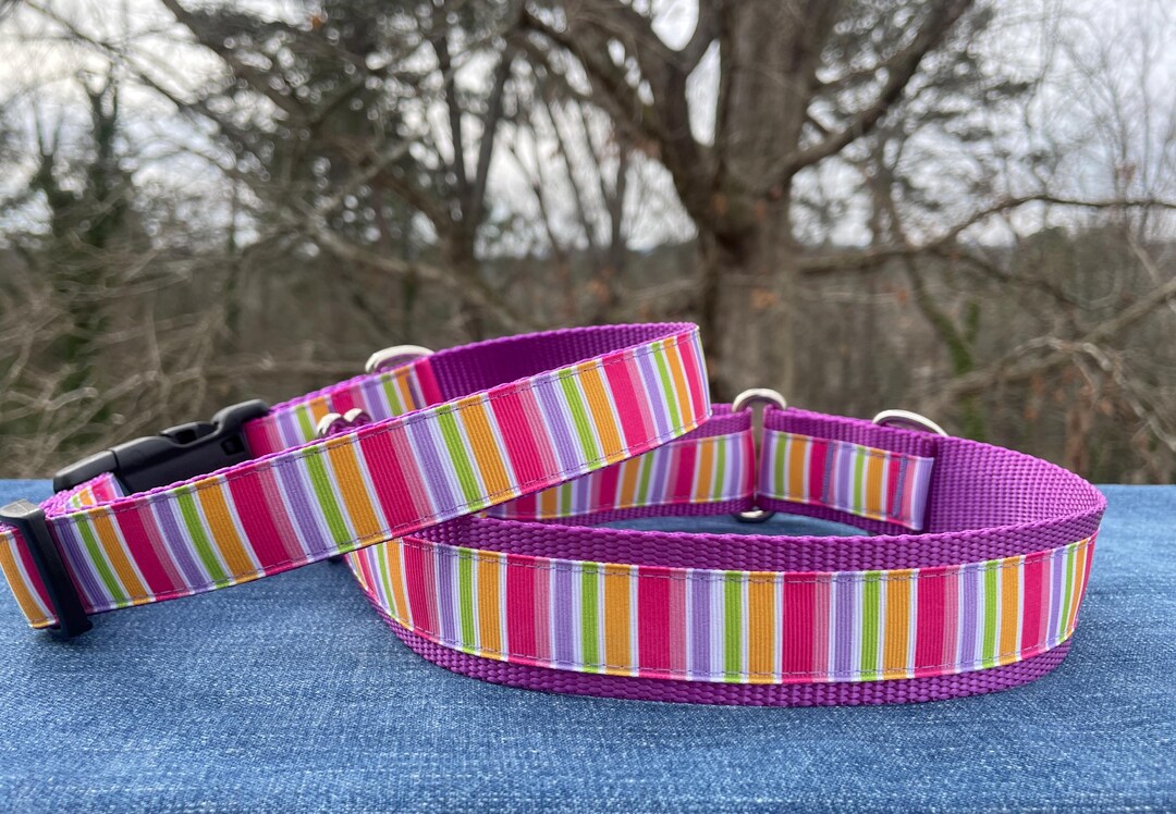 Bright Beach Stripes Dog Collar, Martingale Collar, Leash - 1" or 1.5 ...