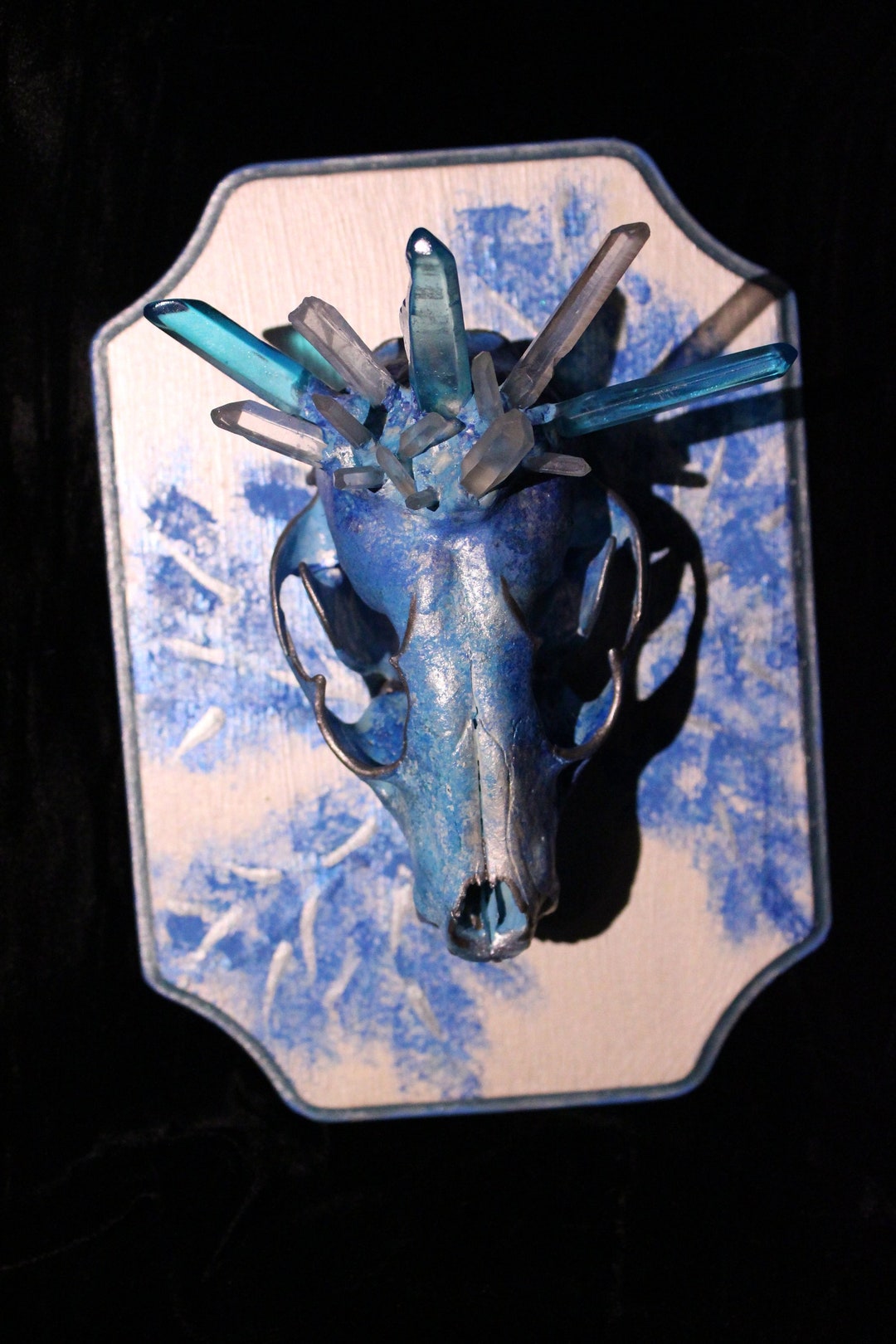 Frozen Raccoon - Etsy