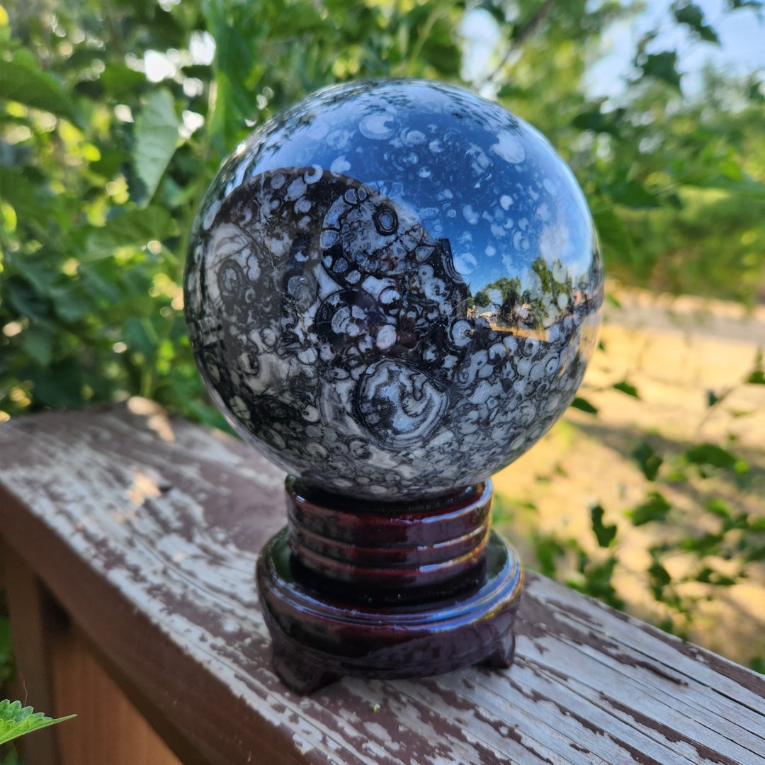 Large Fossil Sphere, 114 Mm, Crinoid Sphere, Orthoceras Sphere ...