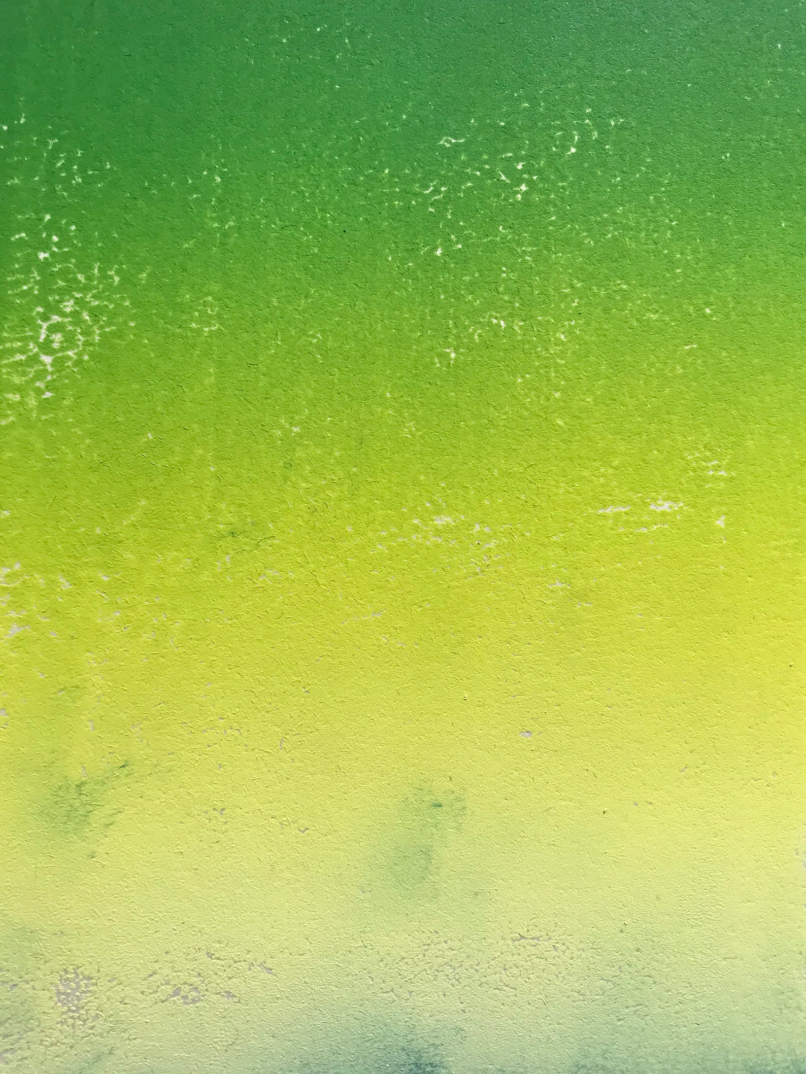 Mono Print Original Print Abstract Art Gradient Green to - Etsy