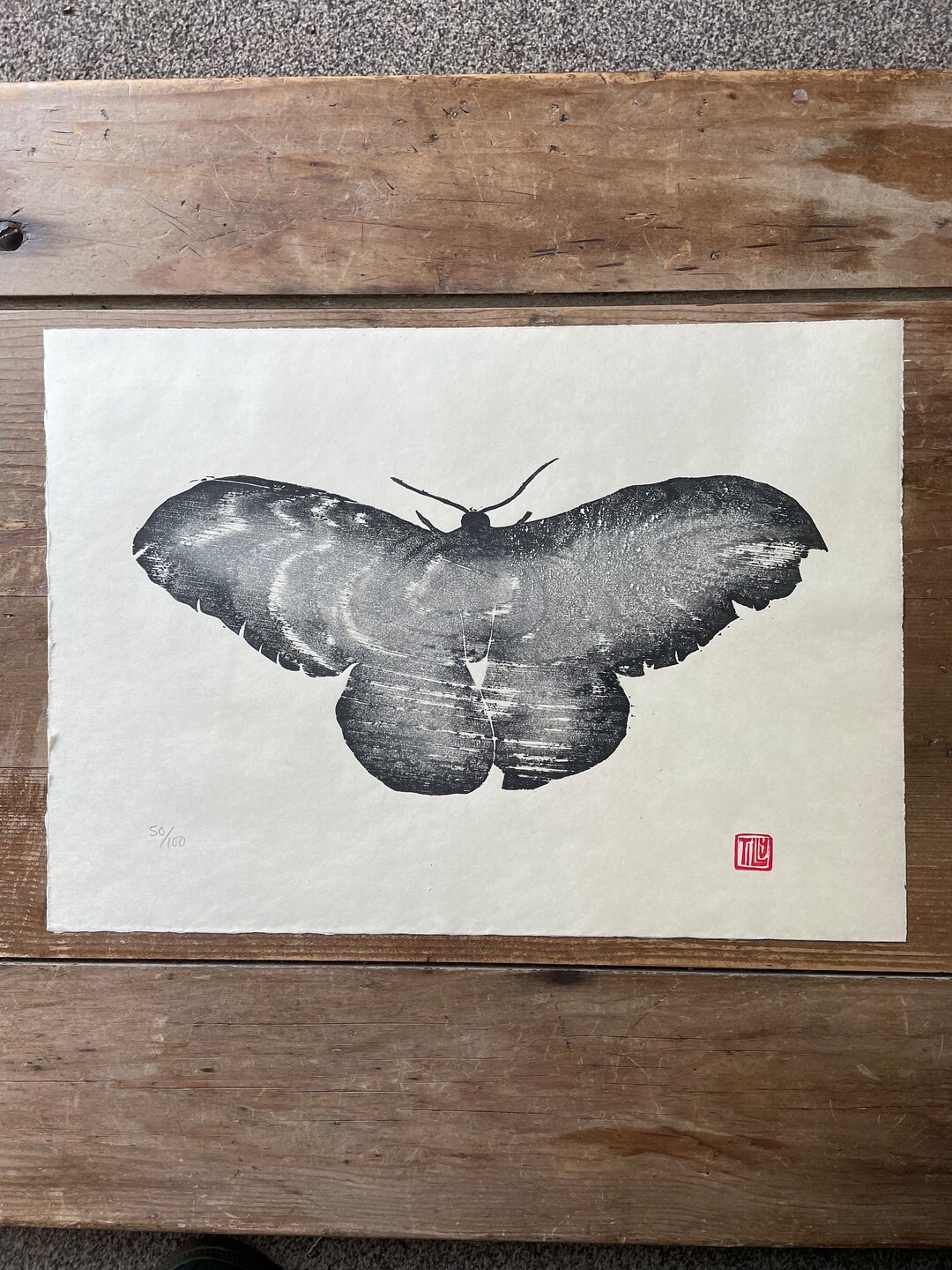 Moth Original Woodblock Print, Large Woodcut, Wood Grain, Nature ...