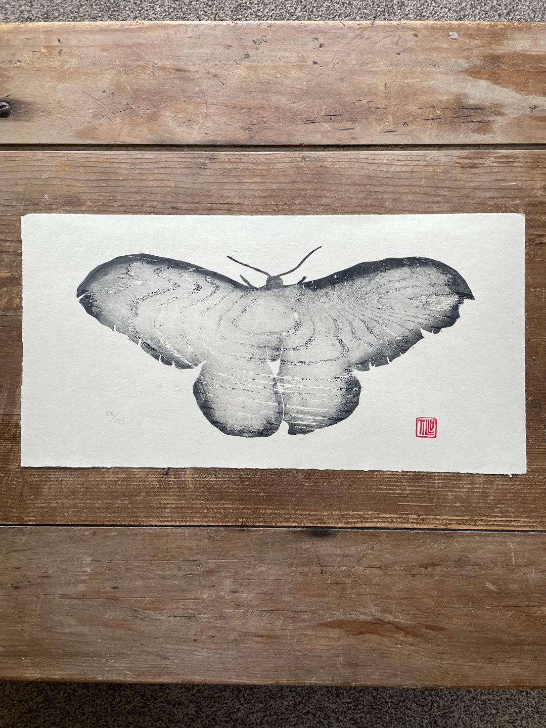 Moth Original Woodblock Print, Large Woodcut, Wood Grain, Nature ...