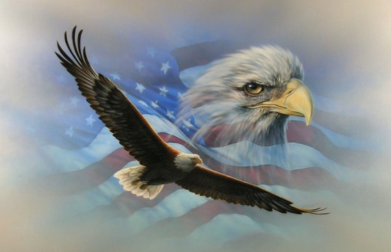 American Flag Soaring Bald Eagle Rv Trailer Wall Mural Decal