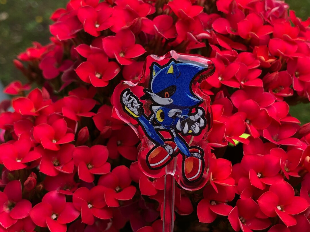 Metal Sonic Acrylic Pin - Etsy