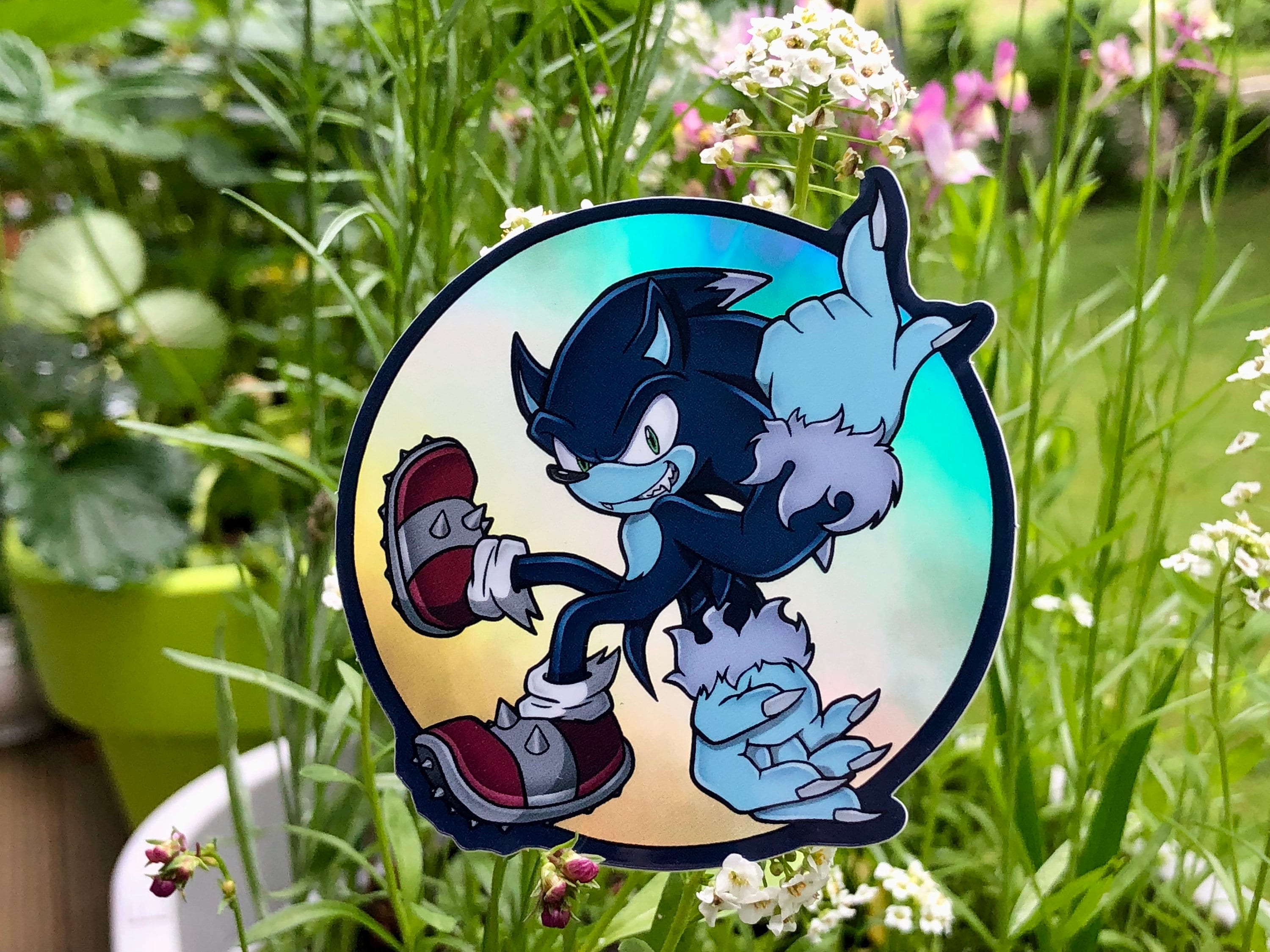 Sonic The Werehog And Shadow