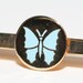 Blue Butterfly Pin - Etsy