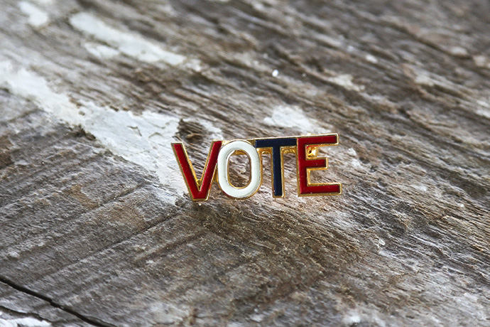 Political VOTE Pin