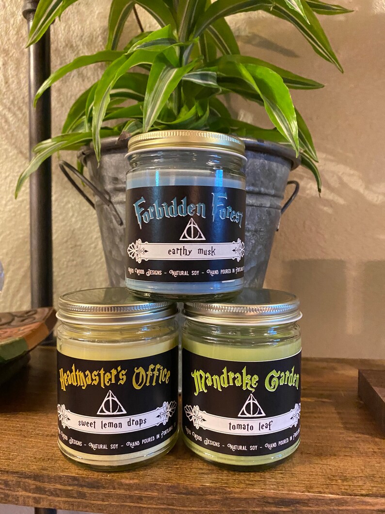 Legend of Zelda Themed Scented Soy Candle Plus Other | Etsy
