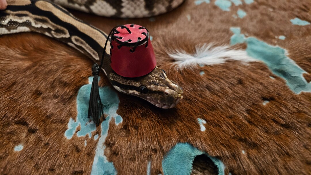 Fez Hat Accessories for Pets Snakes Reptiles Mice Rats Cats or Dice D20 ...