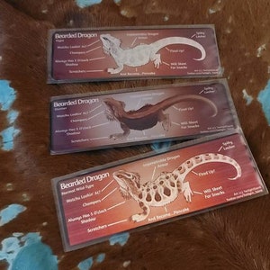 Metal Aluminum Bookmarks Anatomy of a Bearded Dragon - Etsy
