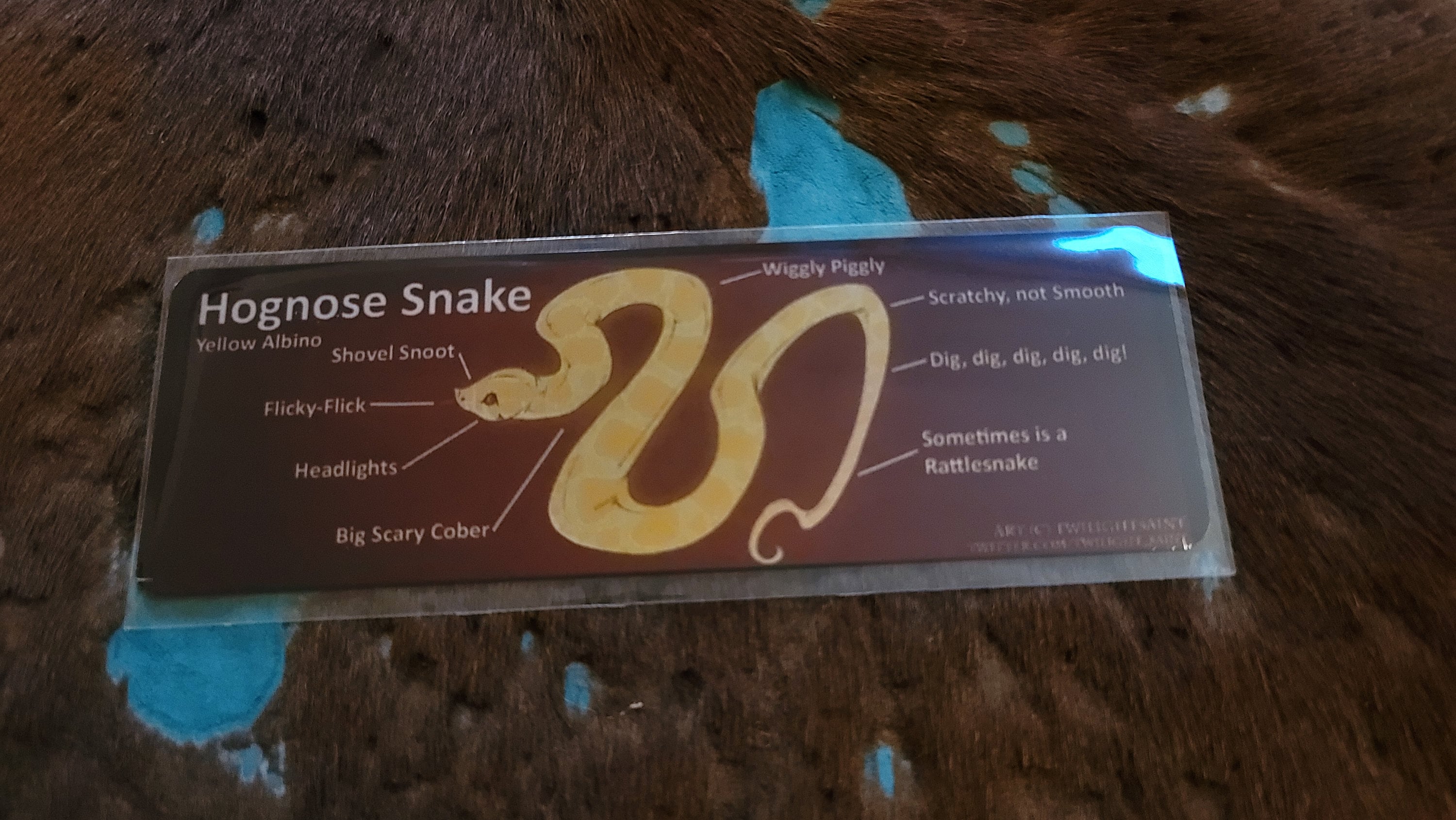 Metal Aluminum Bookmarks Anatomy of a Hognose | Etsy