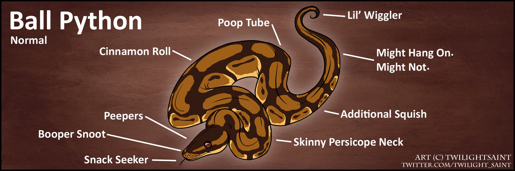 Metal Aluminum Bookmarks Anatomy of a Ball Python | Etsy