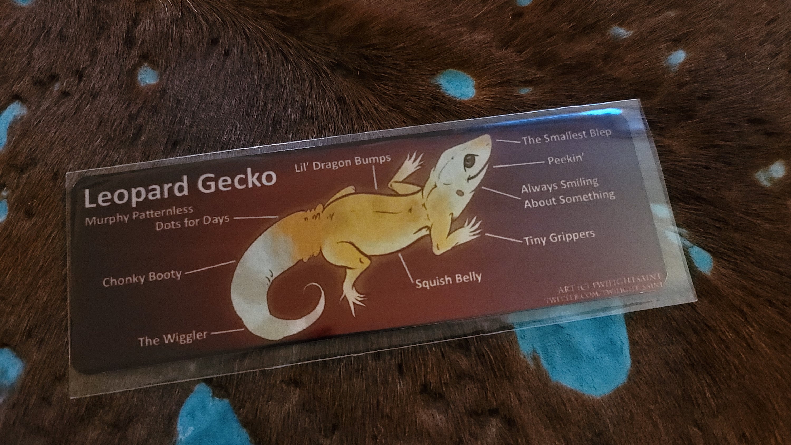Metal Aluminum Bookmarks Anatomy of a Leopard Gecko | Etsy