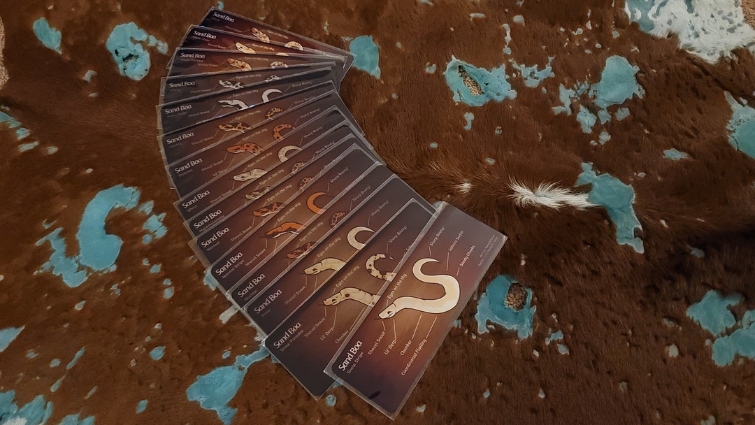 Metal Aluminum Bookmarks, Anatomy of a Sand Boa - Etsy