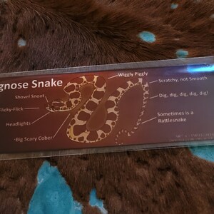 Metal Aluminum Bookmarks, Anatomy of a Hognose - Etsy