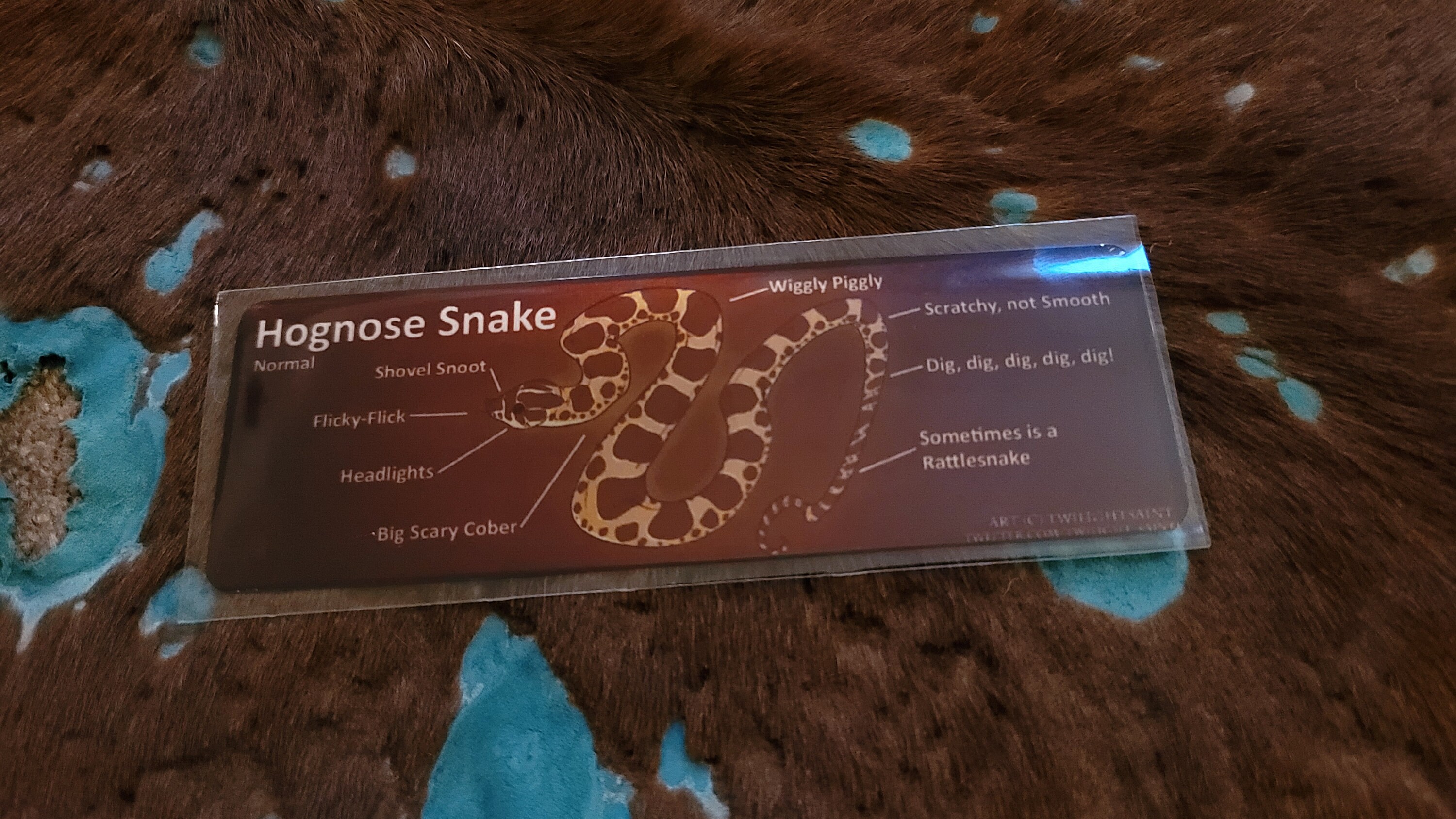 Metal Aluminum Bookmarks Anatomy of a Hognose | Etsy