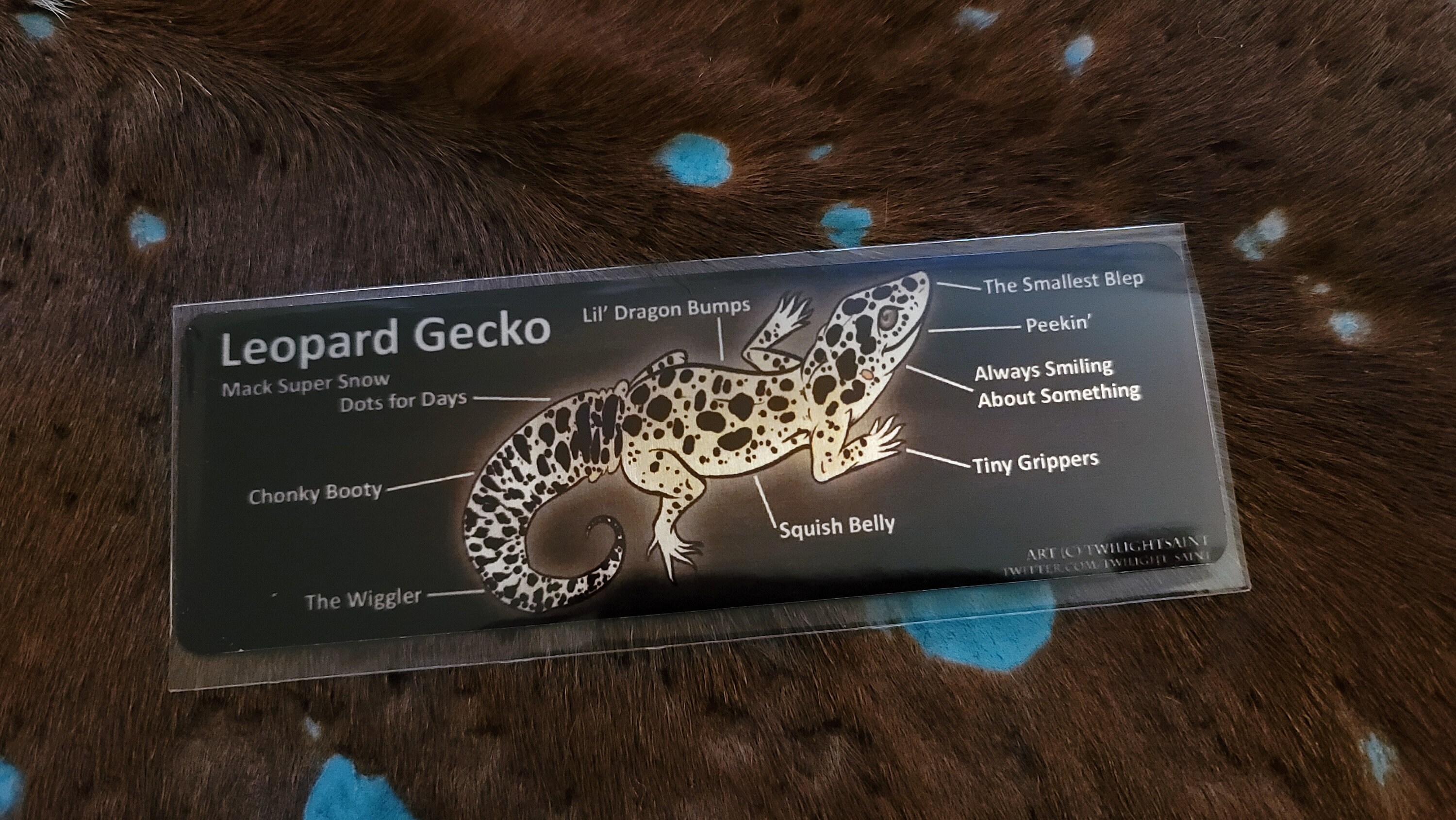 Metal Aluminum Bookmarks Anatomy of a Leopard Gecko | Etsy