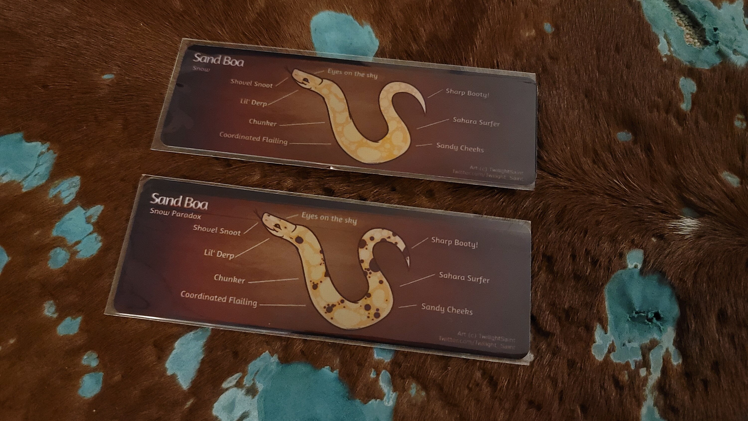 Metal Aluminum Bookmarks Anatomy of a Sand Boa | Etsy