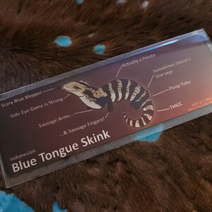Metal Aluminum Bookmarks, Anatomy of a Blue Tongue Skink - Etsy Australia