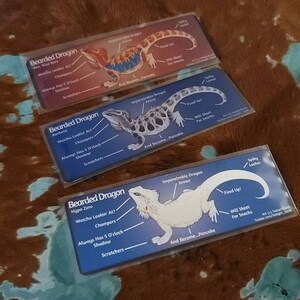 Metal Aluminum Bookmarks Anatomy of a Bearded Dragon - Etsy