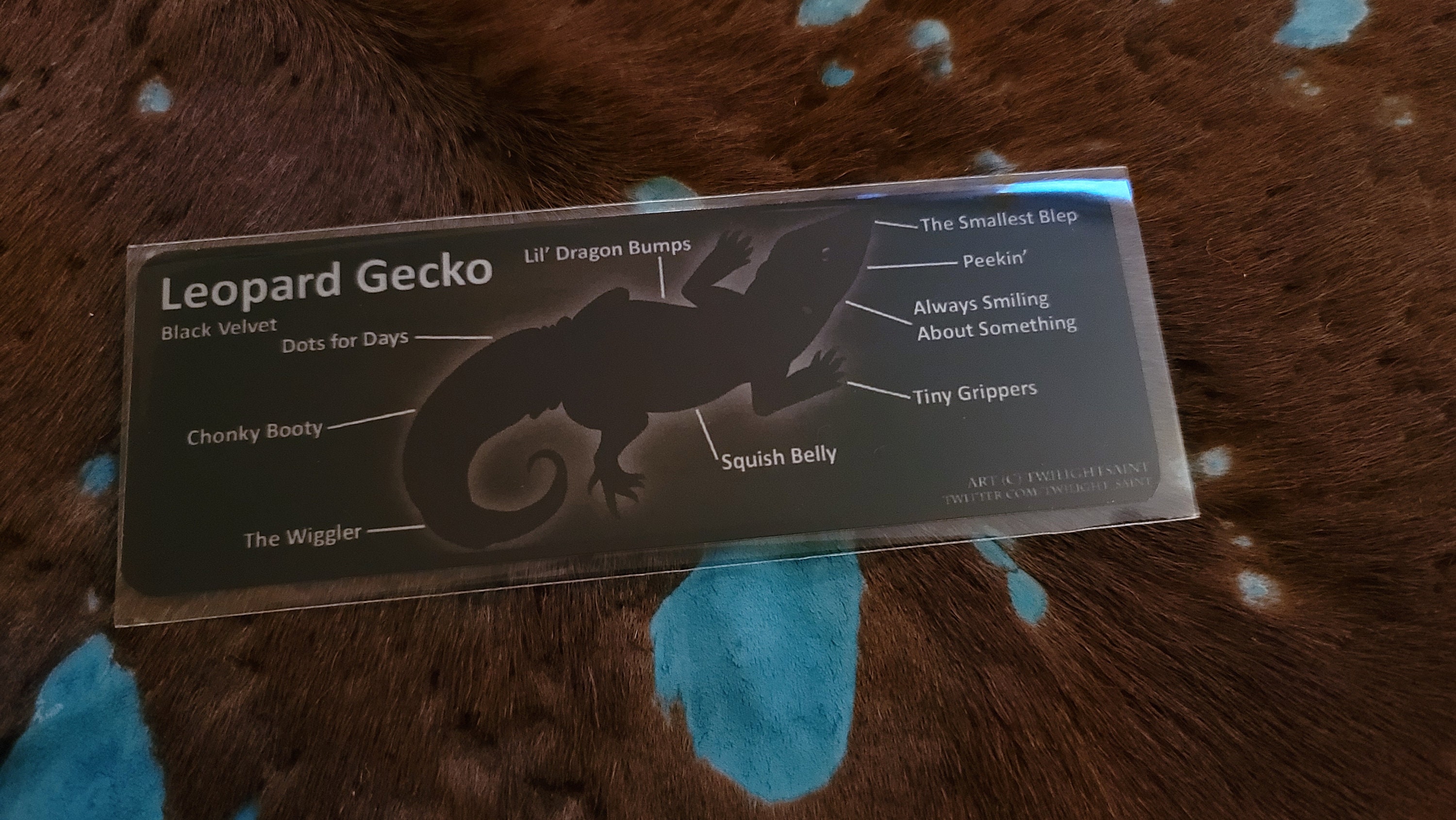 Metal Aluminum Bookmarks Anatomy of a Leopard Gecko | Etsy