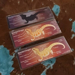 Metal Aluminum Bookmarks Anatomy of a Bearded Dragon - Etsy