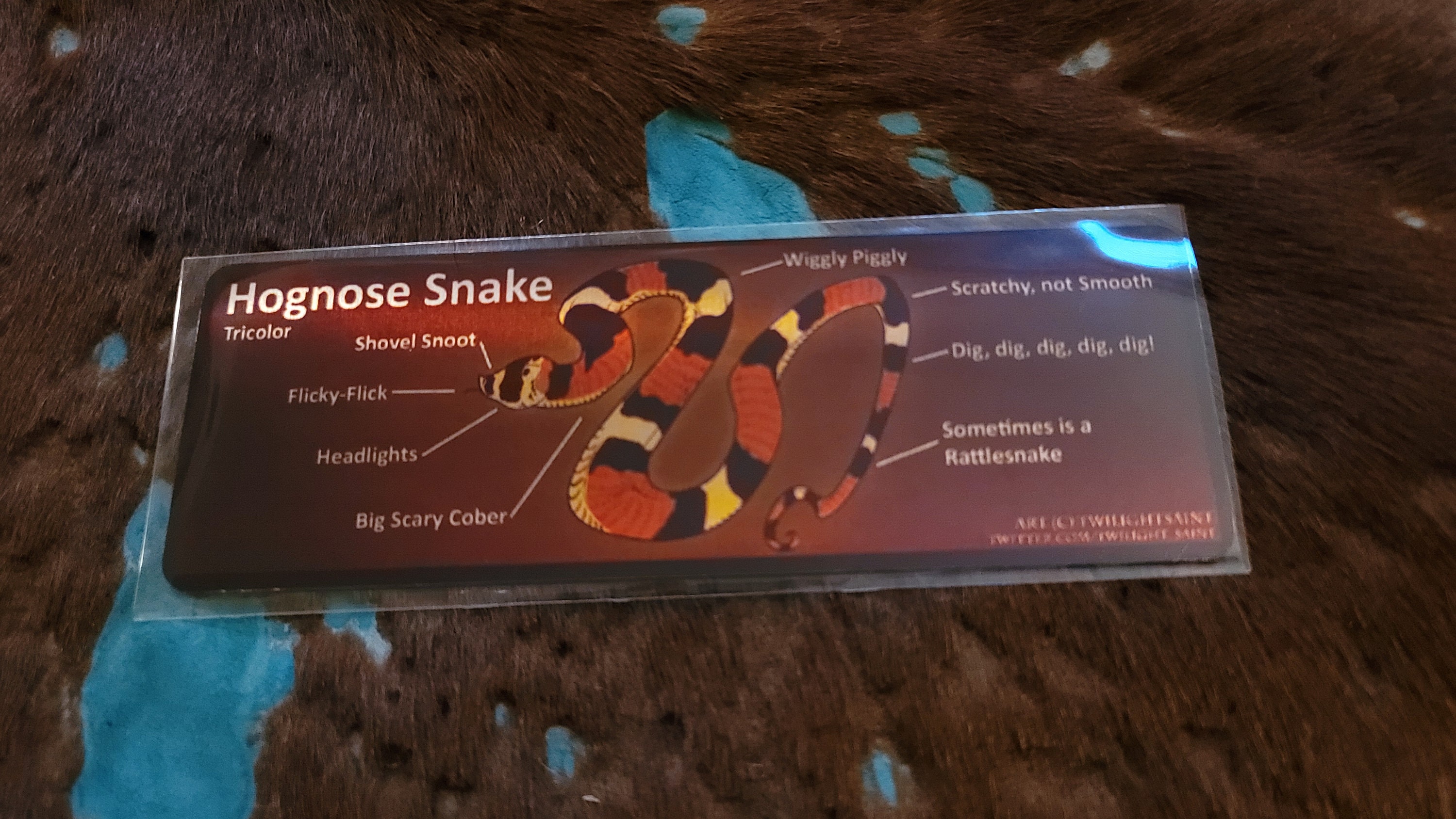 Metal Aluminum Bookmarks Anatomy of a Hognose | Etsy