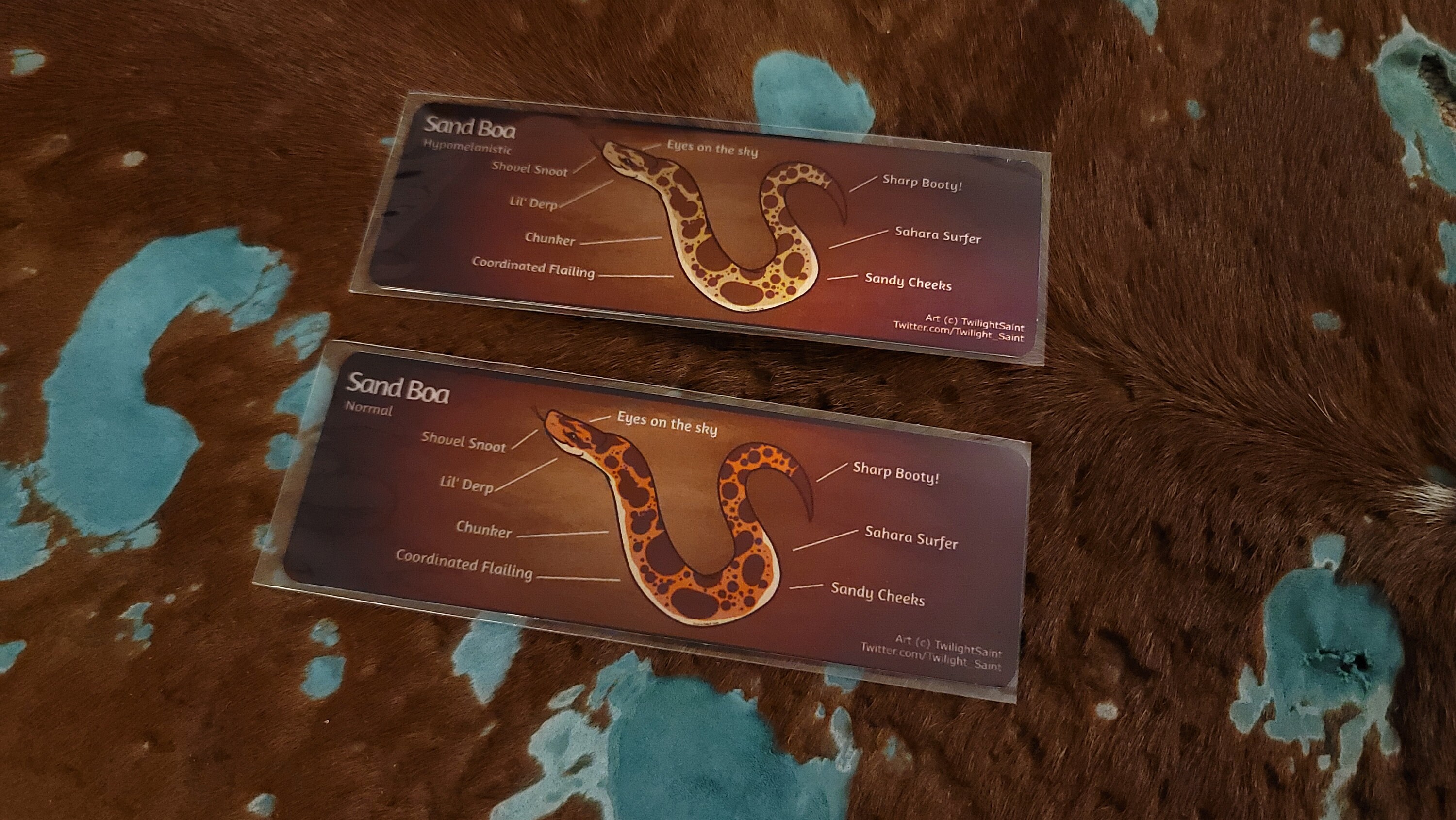 Metal Aluminum Bookmarks Anatomy of a Sand Boa | Etsy