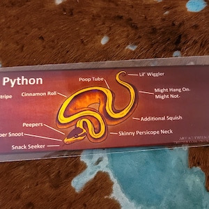 Metal Aluminum Bookmarks, Anatomy of a Ball Python - Etsy