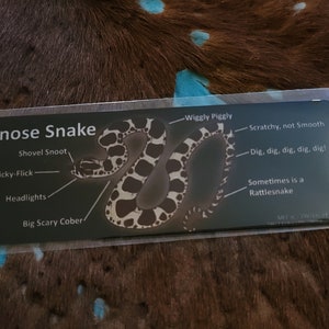 Metal Aluminum Bookmarks, Anatomy of a Hognose - Etsy