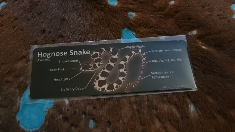 Metal Aluminum Bookmarks Anatomy of a Hognose | Etsy