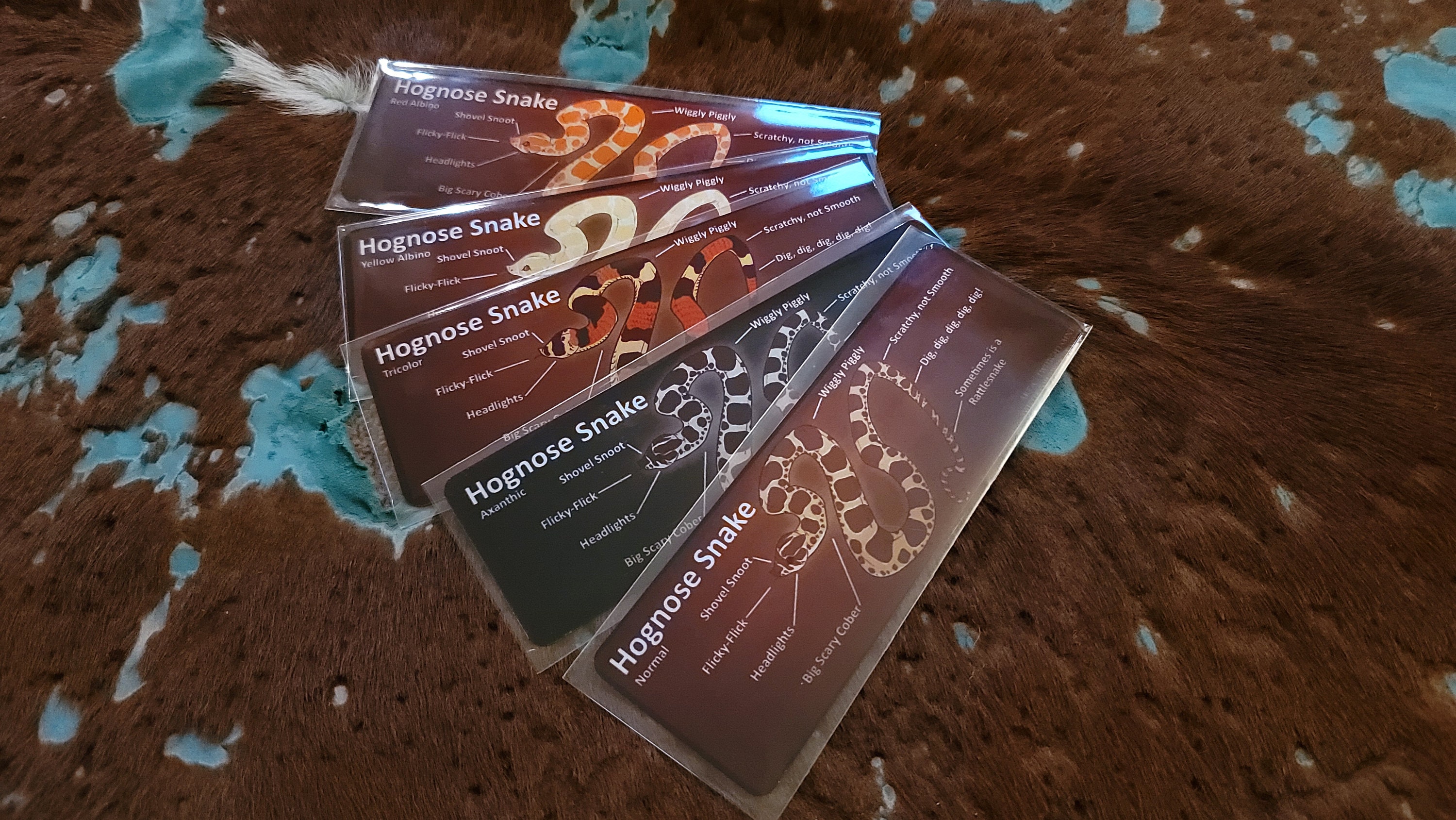 Metal Aluminum Bookmarks Anatomy of a Hognose | Etsy