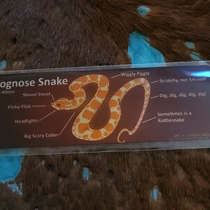 Metal Aluminum Bookmarks, Anatomy of a Hognose - Etsy