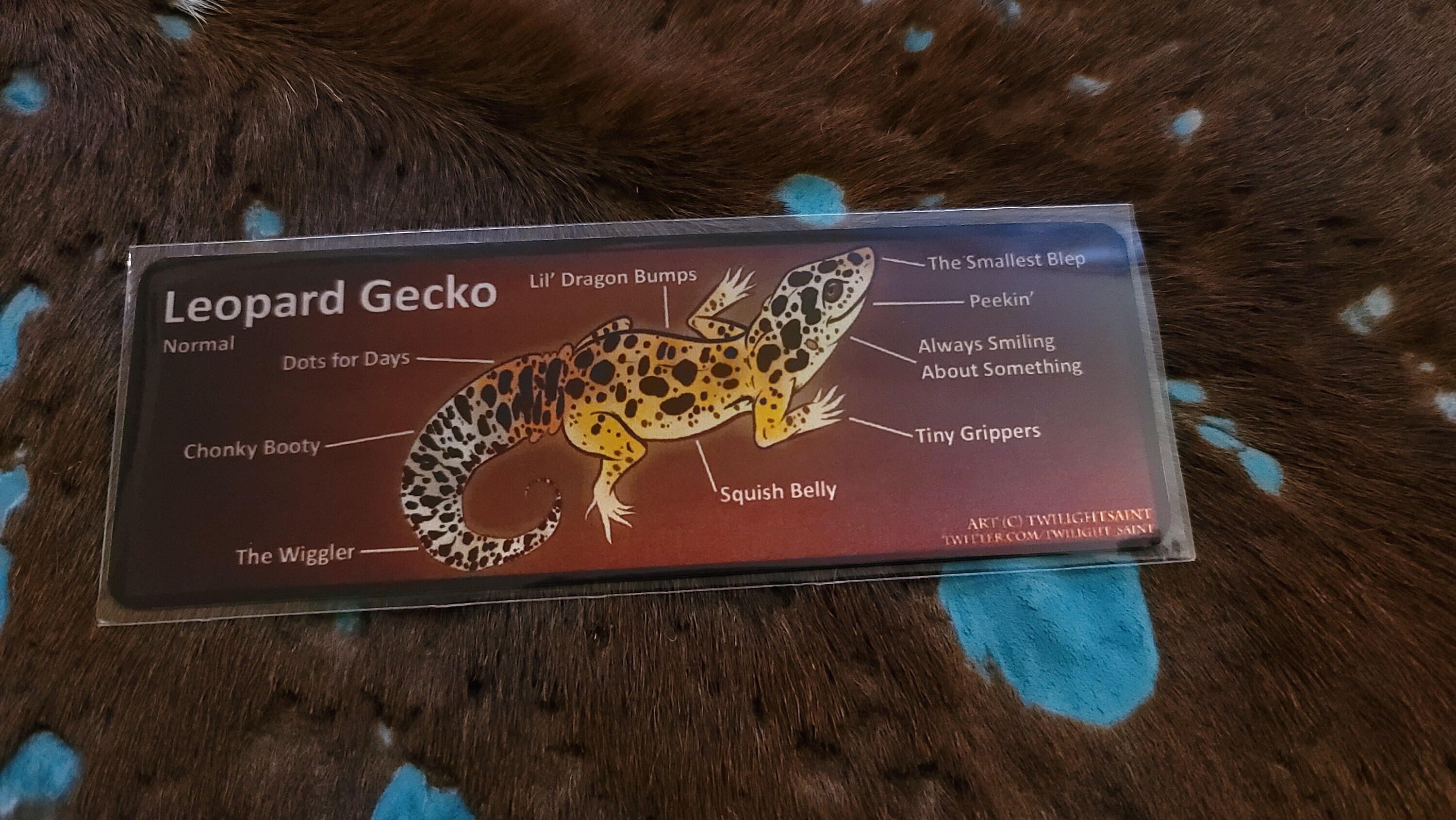 Metal Aluminum Bookmarks Anatomy of a Leopard Gecko | Etsy