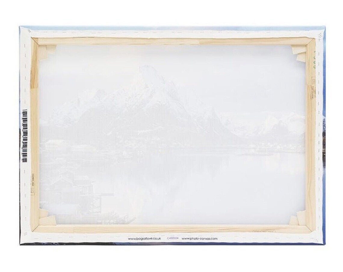 Conor Mcgregor UFC Canvas 16x20 Wall Art Mancave MMA Champ Billionaire ...