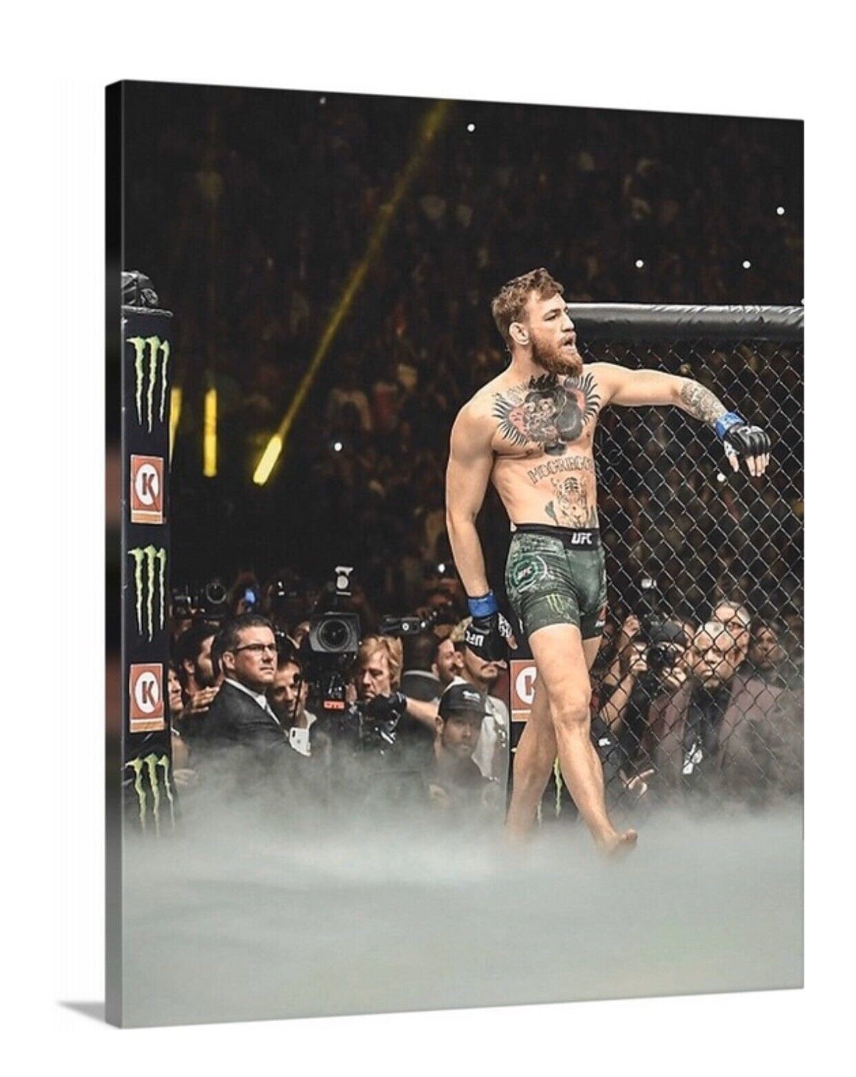 Conor Mcgregor UFC Canvas 16x20 Wall Art Mancave MMA Champ Billionaire ...