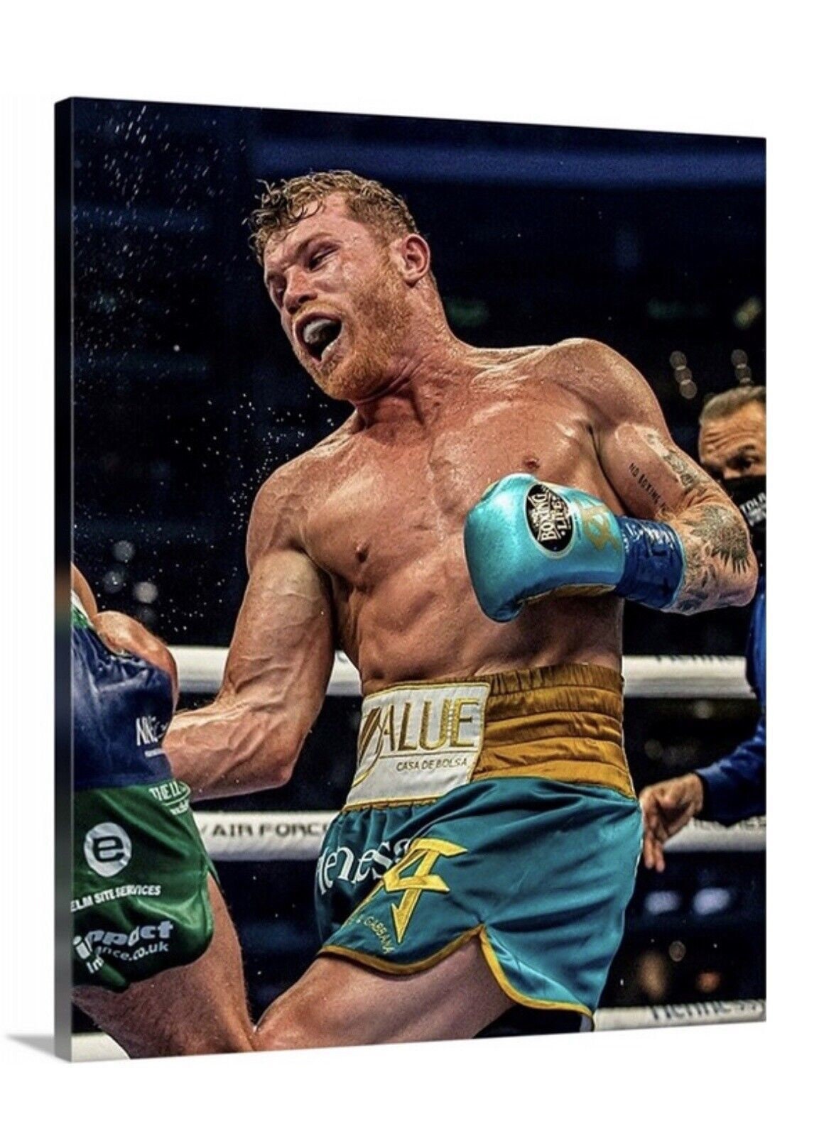 Canelo Alvarez Canvas 16X20 Boxing Wallart Decor Gym Goat Champ Mexico ...