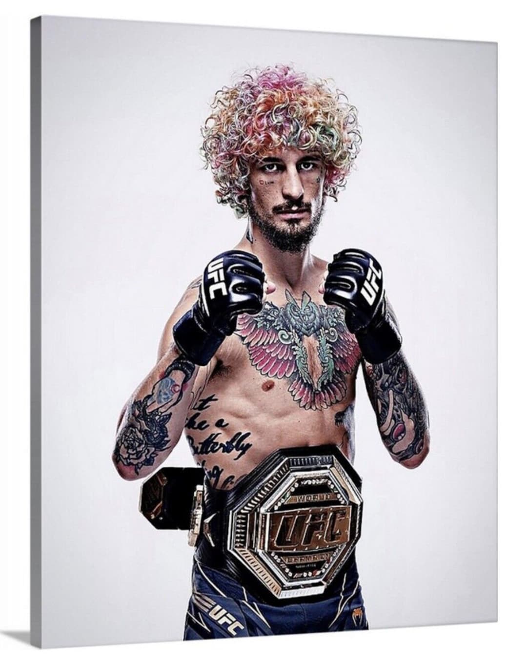 Sean Omalley UFC Canvas 16X20 Wall Art Mancave MMA Print Fight Sugasean ...