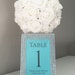 5x7 RHINESTONE FRAME With Table Number. PERSONALIZED With Bride and ...