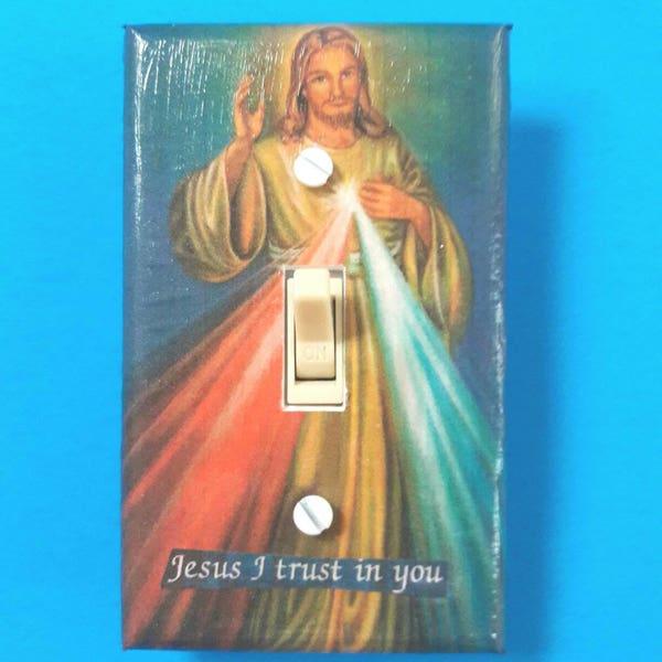 Switchplate Covers - Etsy