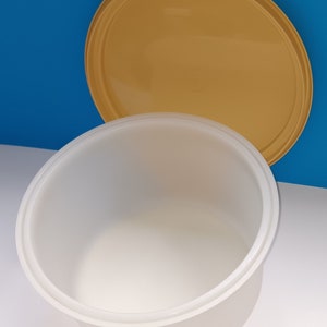 Vintage Plastic Tupperware Cake Carrier, Retro 1970s Tupperware Harvest ...