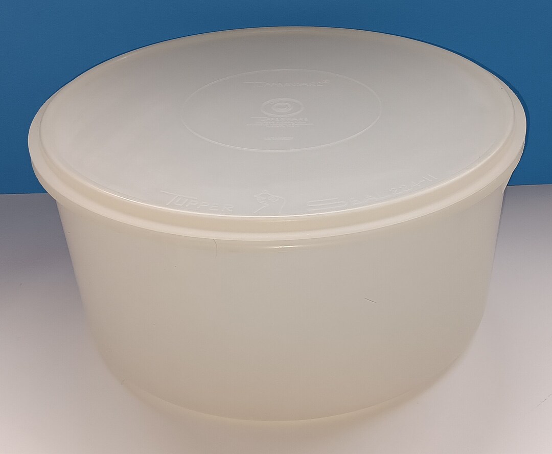 Vintage Tupperware Tupper Seal Carry All Container, Vintage Tupperware ...