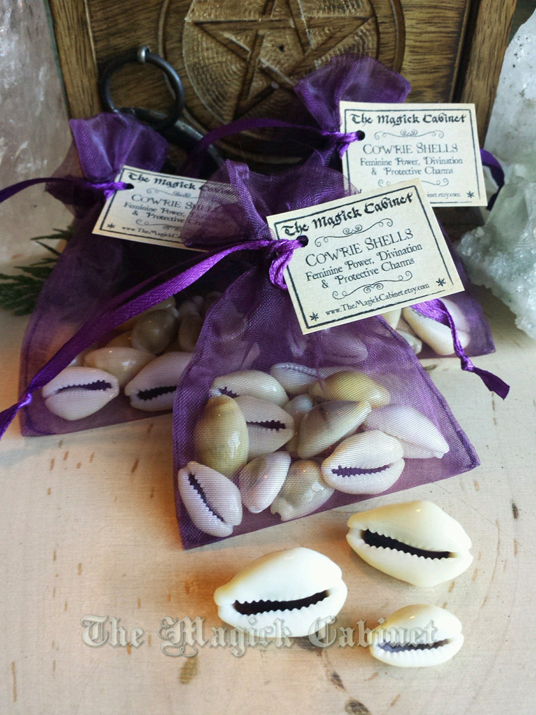 Magical Whole Gold Cowrie Shells, African Divination Tools, Witchcraft ...