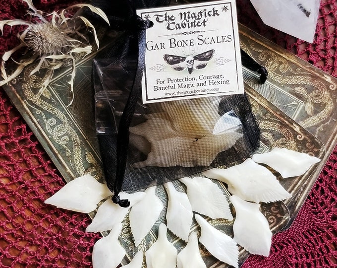 Alligator Gar Scales - for Protection, Courage and Baneful Magick. Bony ...