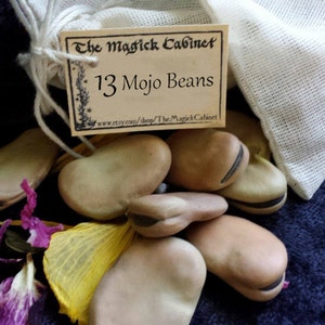 13 Mojo Beans or African Mojo Beans Witchcraft Supplies and | Etsy
