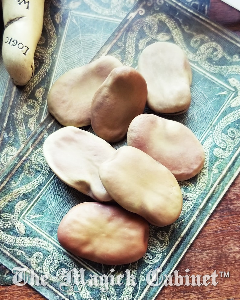 7 Mojo Beans African Mojo Beans Wicca and Witchcraft Supply - Etsy