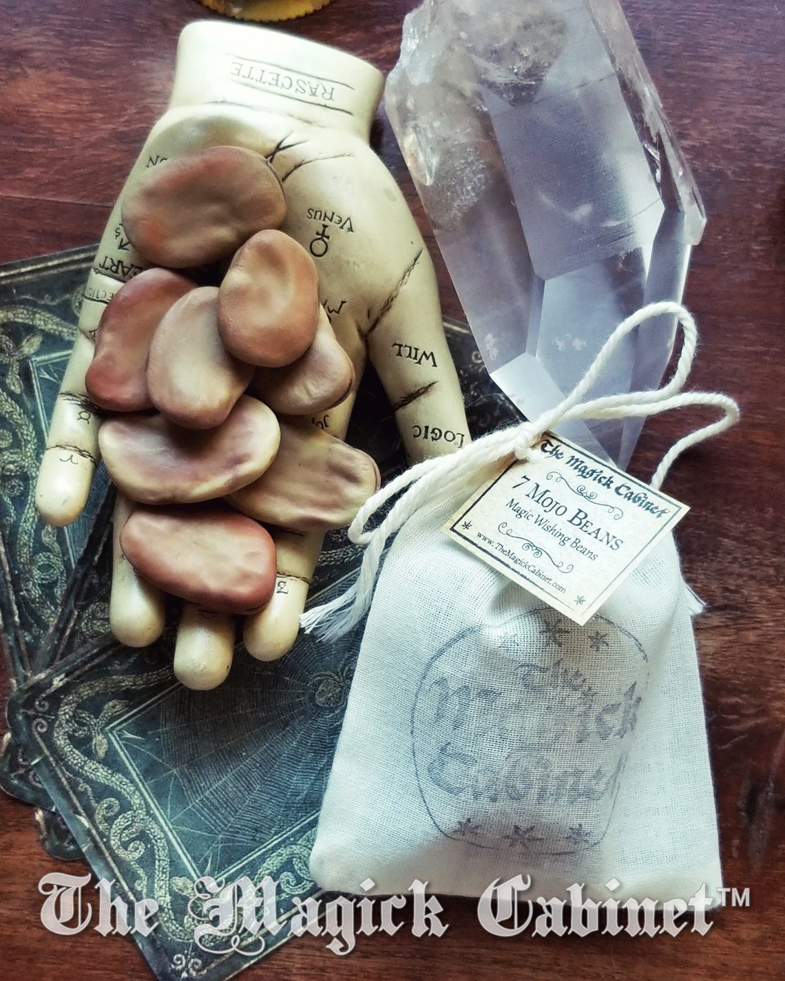 7 Mojo Beans African Mojo Beans Wicca and Witchcraft Supply - Etsy