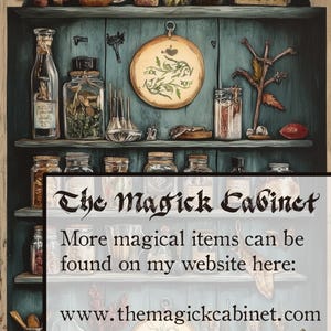 Magical Whole Gold Cowrie Shells, African Divination Tools, Witchcraft ...